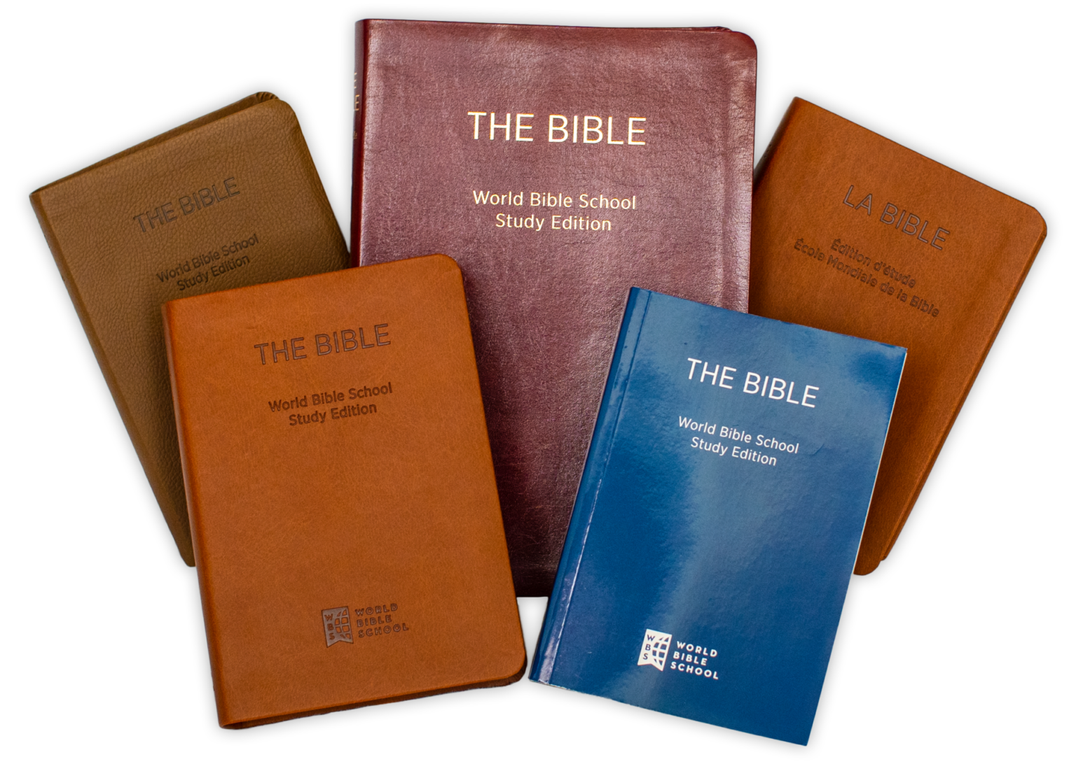Study Bible | World Bible School